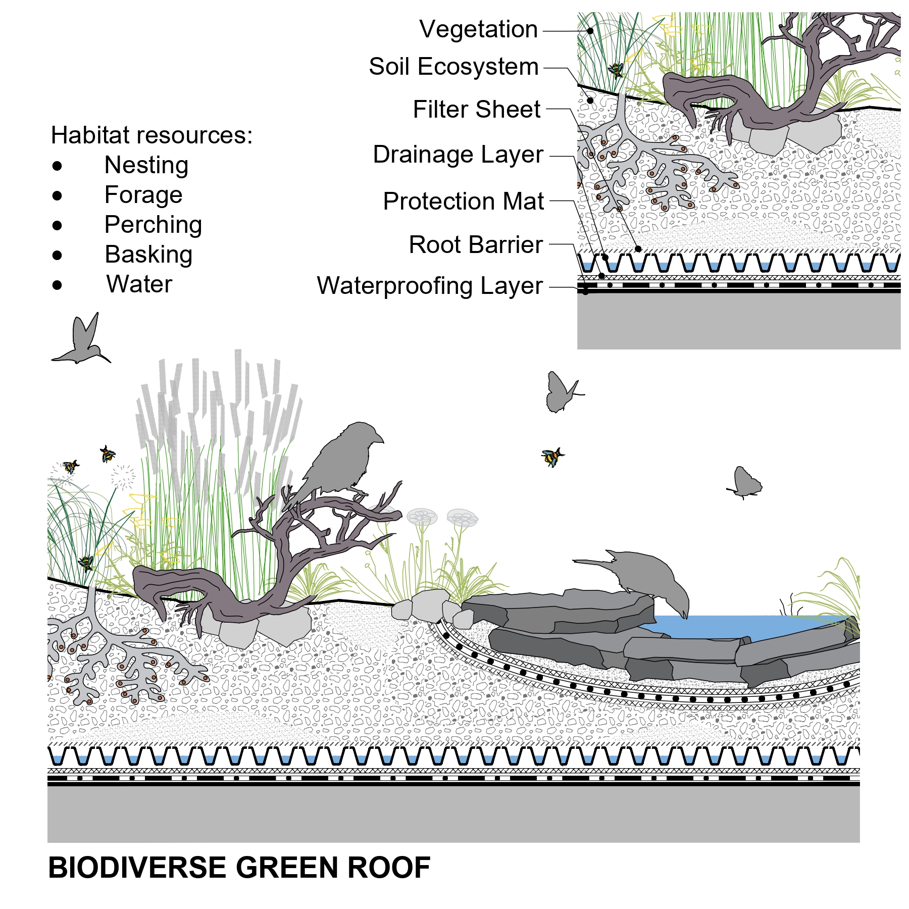 About Green Infrastructure - GRIN BC.org